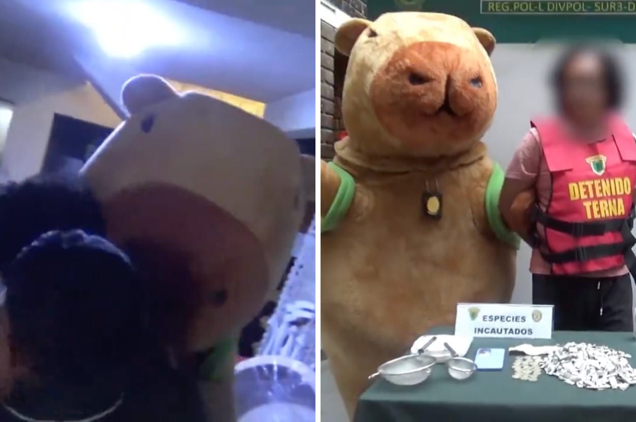 This Peruvian Police Officer Dressed Up As A Capybara To Bust Drug ...