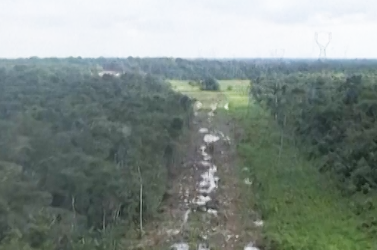 Brazil Has Chopped Down Acres Of The Protected Amazon Rainforest To ...